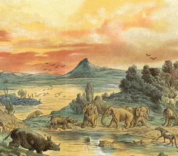 1878 PREHISTORIC ANIMALS Print - Paleogene Period - Antique Paleoart ...