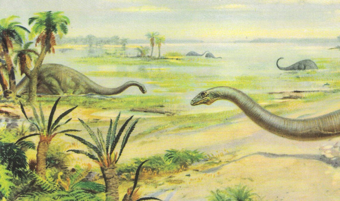 1960 DIPLODOCUS DINOSAUR Print - Prehistoric Animals Print - Paleoart ...