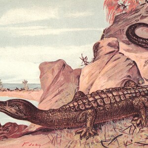 1902 TELEOSAURUS Print - Jurassic Crocodile - Paleoart - Prehistoric ...