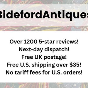 1960 HISPANIOLAN SOLENODON Print - Vintage Animal Print - Animal ...