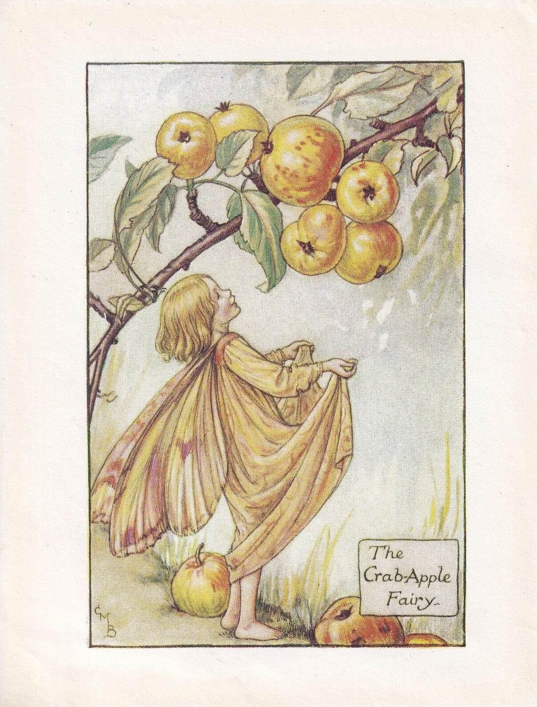 C. 1930 FLOWER FAIRY Print - the Crab-apple Fairy - Flower Fairy Wall ...