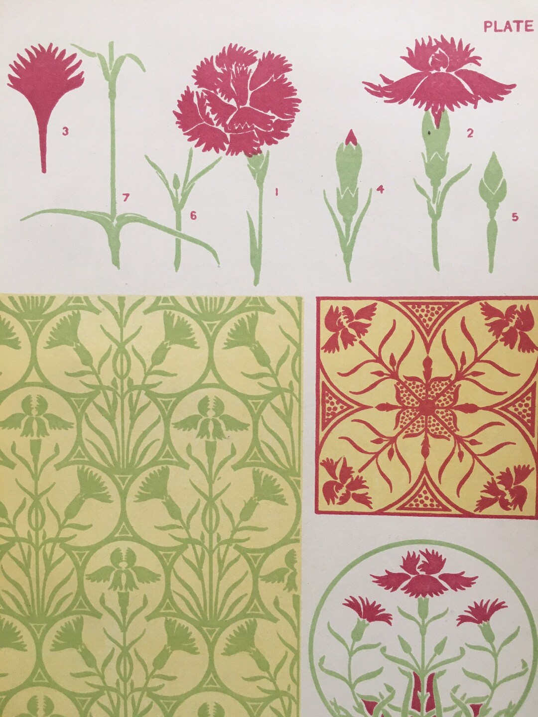 1903 ART NOUVEAU CARNATION Print - Art Nouveau Wall Art - Art Nouveau ...