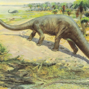 1960 DIPLODOCUS DINOSAUR Print - Prehistoric Animals Print - Paleoart ...
