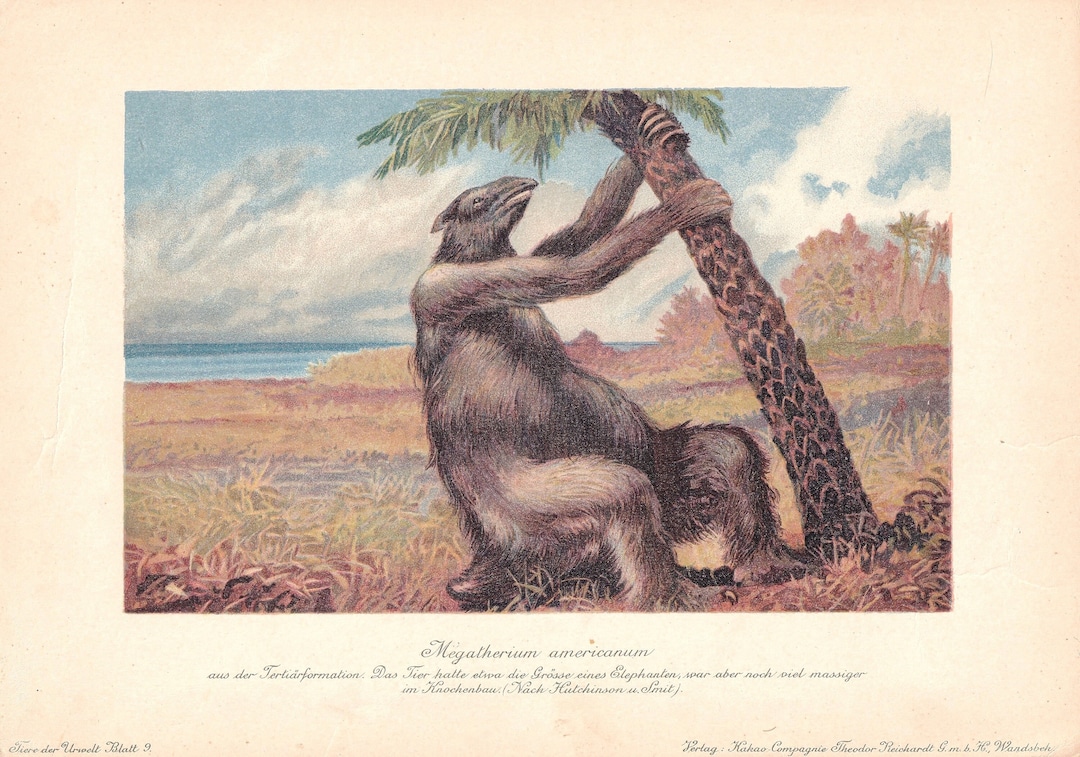 1902 GIANT SLOTH MEGATHERIUM Print Megafauna Print Paleoart Prehistoric ...