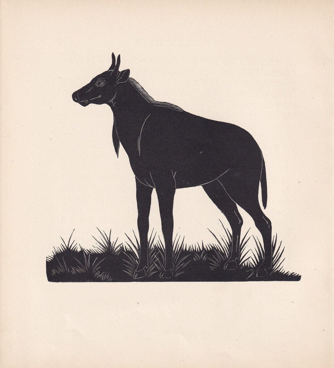 1929 NILGAI Print Wood Engraving - Nilgai Wall Art - Zoology Print ...