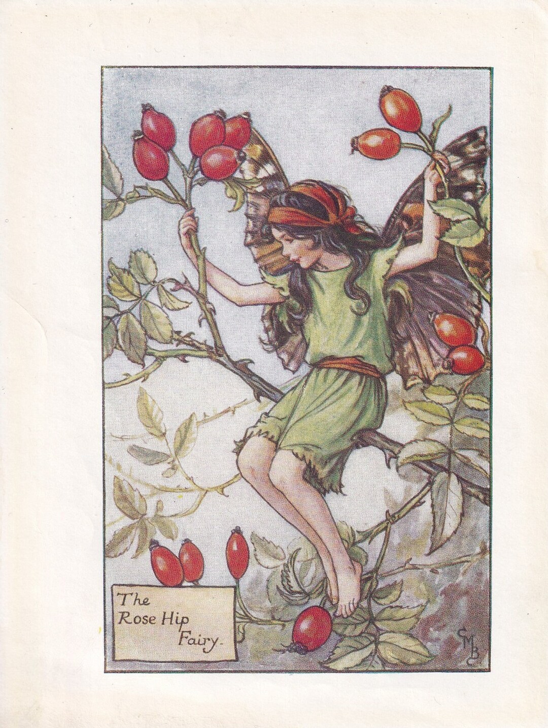 C. 1930 FLOWER FAIRY Print - the Rose Hip Fairy - Flower Fairy Wall Art ...