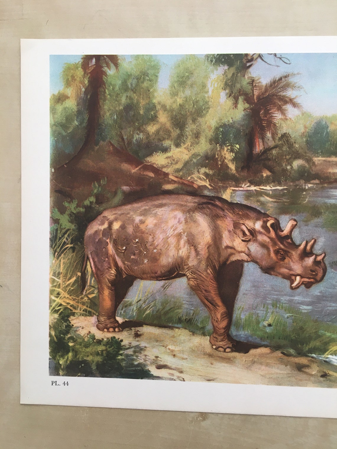 1960 UINTATHERIUM Print Prehistoric Animals Print Paleoart - Etsy