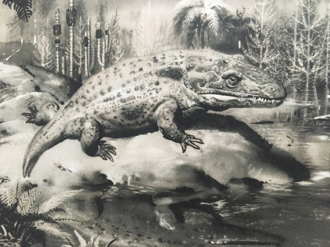 1960 MASTODONSAURUS Print - Prehistoric Animals Print - Paleoart ...