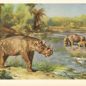 1960 UINTATHERIUM Print - Prehistoric Animals Print - Paleoart - Cave ...