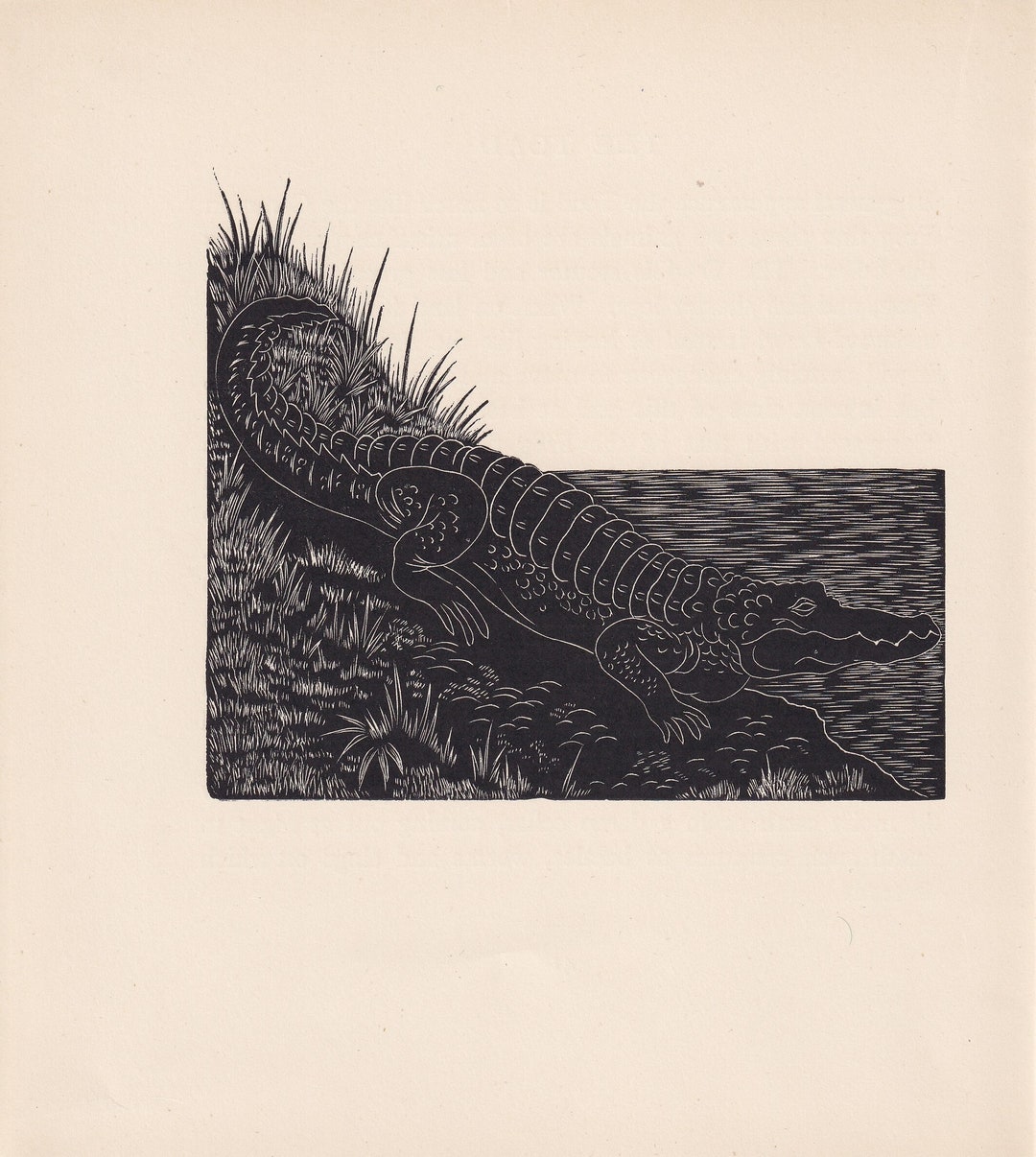 1929 CROCODILE Print Wood Engraving - Crocodile Wall Art - Lizard ...