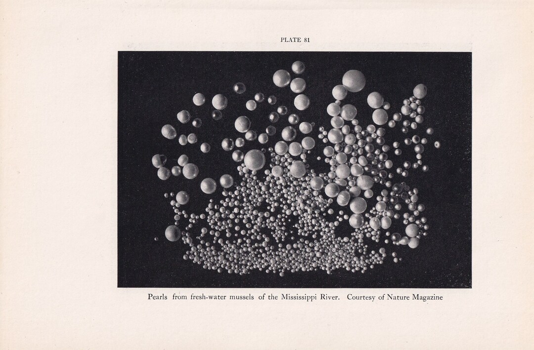1934 PEARLS Print - Original Vintage Print - Pearls Decor - Sea Wall ...