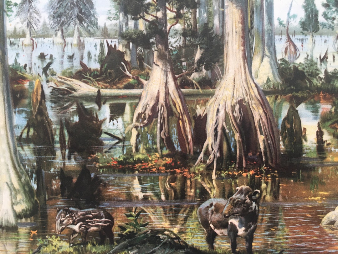 1960 TERTIARY ERA FOREST Print - Prehistoric Animals Print - Paleoart ...