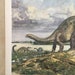 1960 BRONTOSAURUS DINOSAUR Print - Prehistoric Animals Print - Paleoart ...