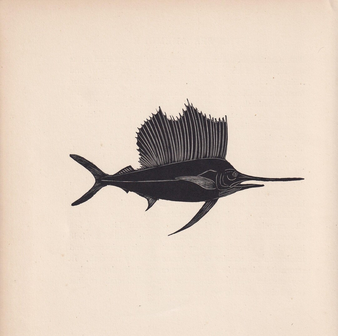 1929 SAILFISH Print Wood Engraving - Fish Wall Art - Sea Life Print ...