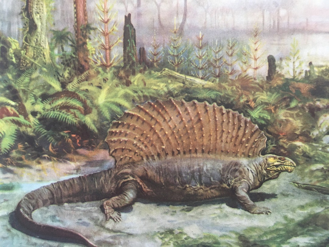 1960 EDAPHOSAURUS Print - Prehistoric Animals Print - Paleoart ...
