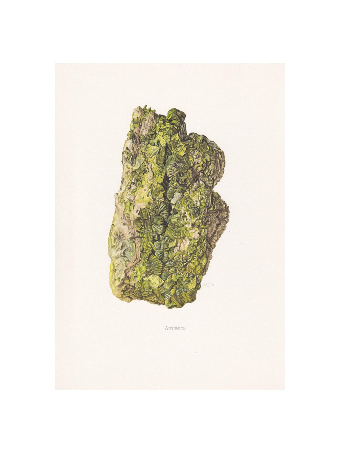 1968 AUTUNITE Print - Mineral Wall Art Gift - Mineralogy Decor ...