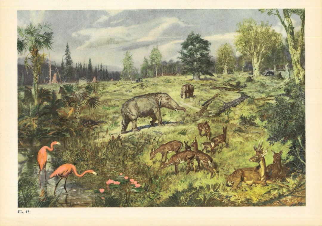 1960 MIOCENE EPOCH Print - Prehistoric Animals Print - Paleoart ...