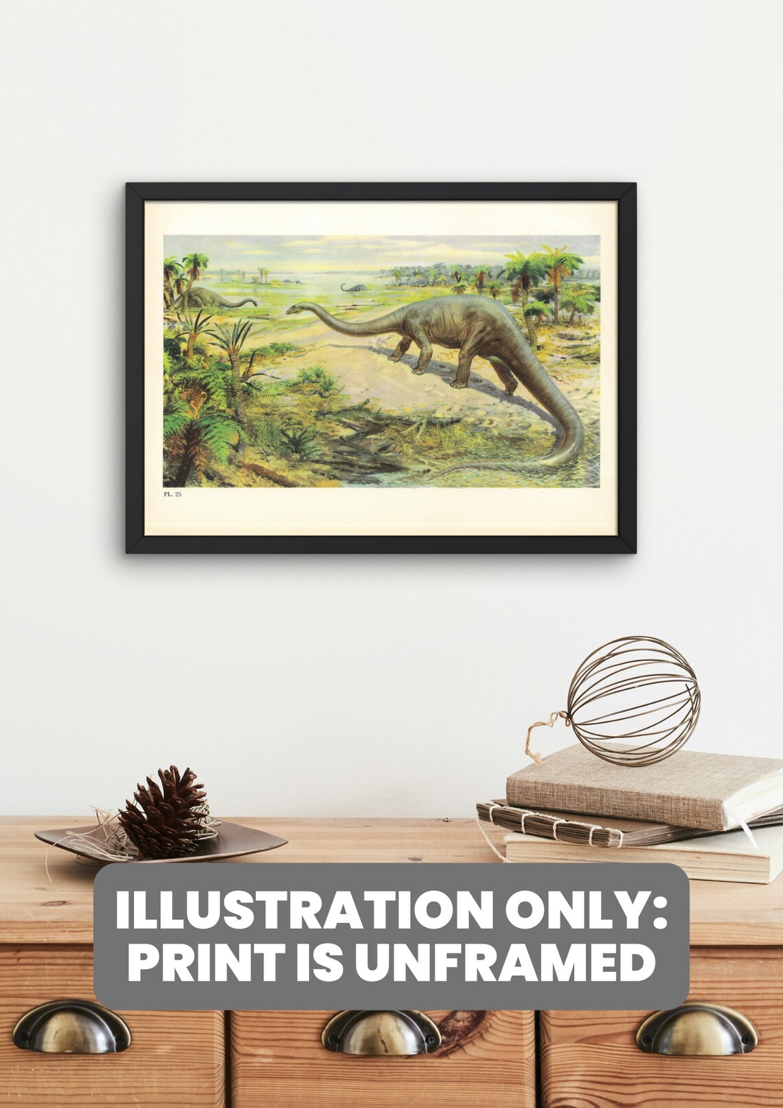 1960 DIPLODOCUS DINOSAUR Print - Prehistoric Animals Print - Paleoart ...