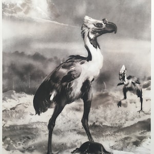 1960 PHORUSRHACOS Print - Prehistoric Animals Print - Paleoart ...
