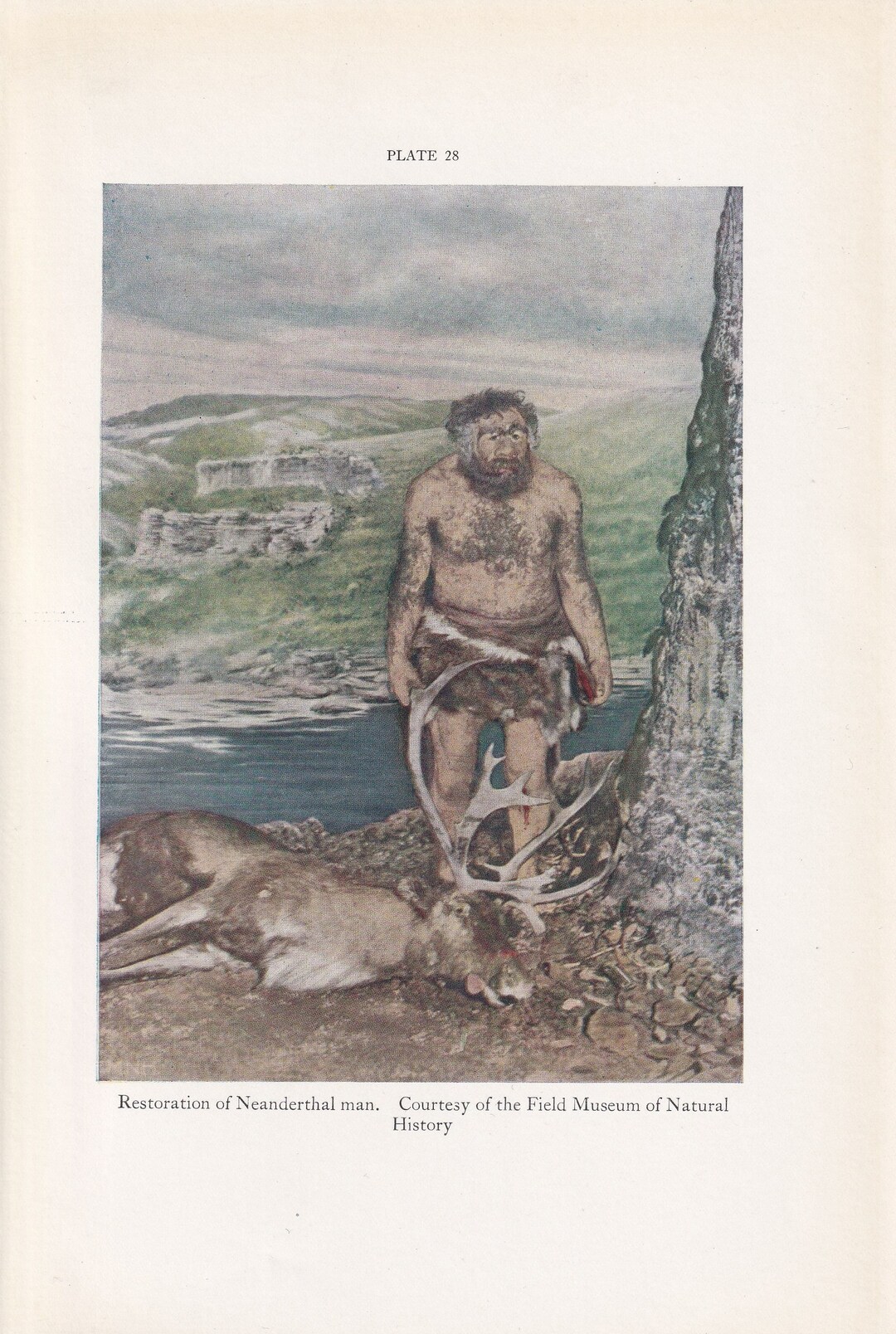 1934 NEANDERTHAL MAN Print - Caveman Print - Original Vintage Print ...