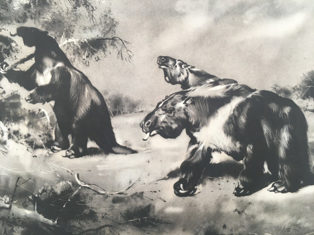 1960 GIANT SLOTH MEGATHERIUM Print Prehistoric Animals Print Paleoart ...