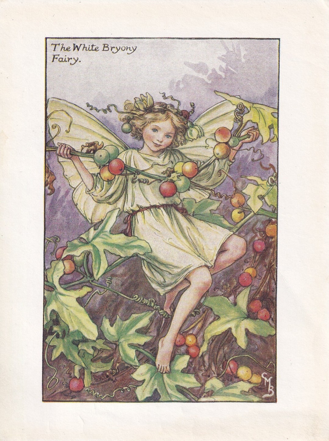 C. 1930 FLOWER FAIRY Print - the White Bryony Fairy - Flower Fairy Wall ...