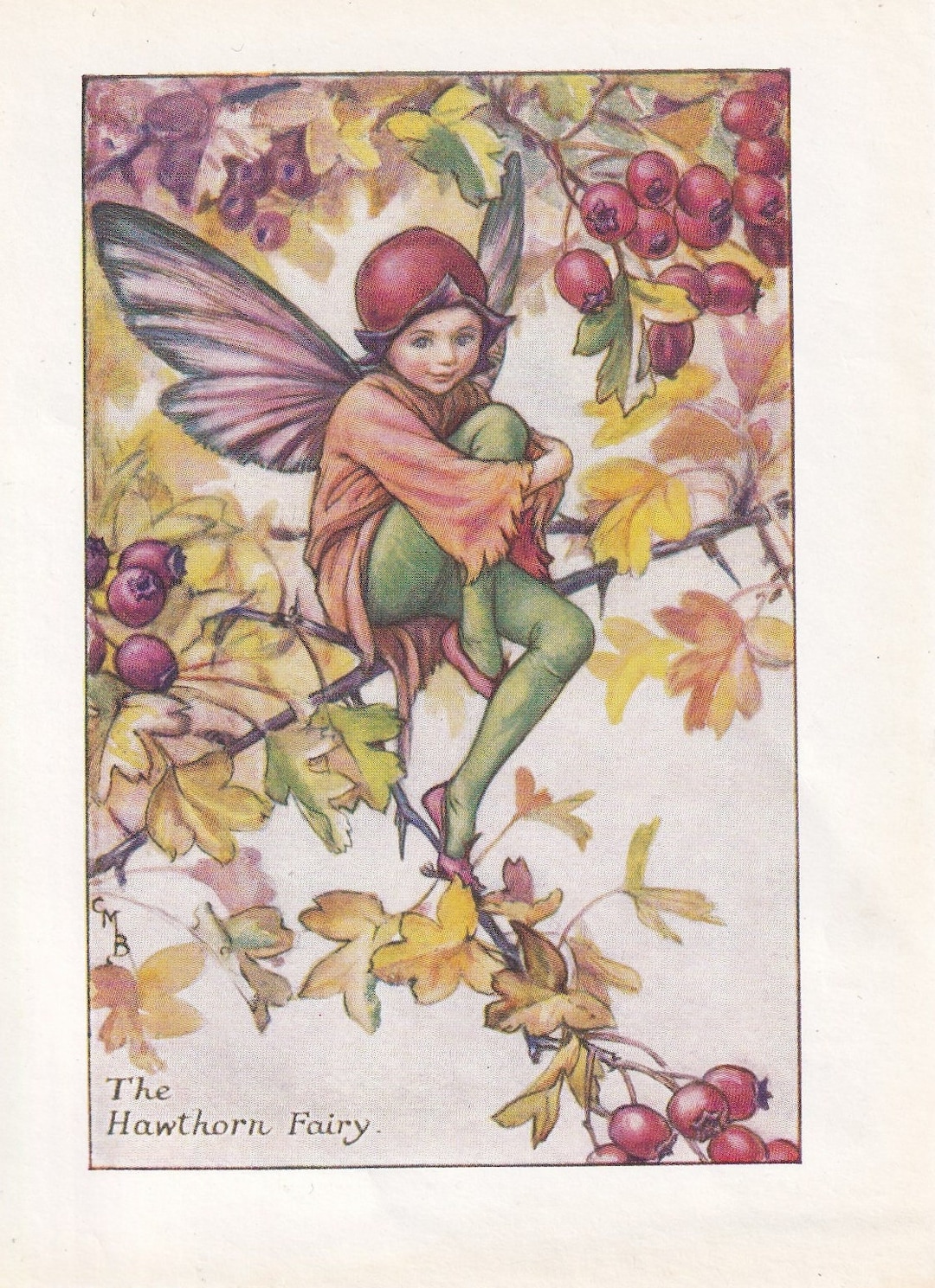 C. 1930 FLOWER FAIRY Print the Hawthorn Fairy Flower Fairy Wall Art ...
