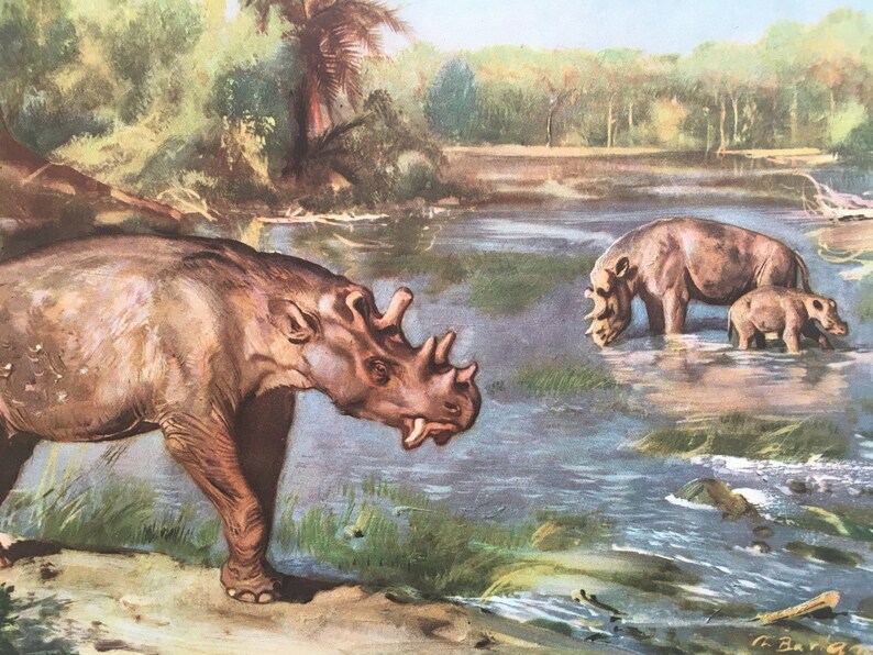 1960 UINTATHERIUM Print Prehistoric Animals Print Paleoart - Etsy