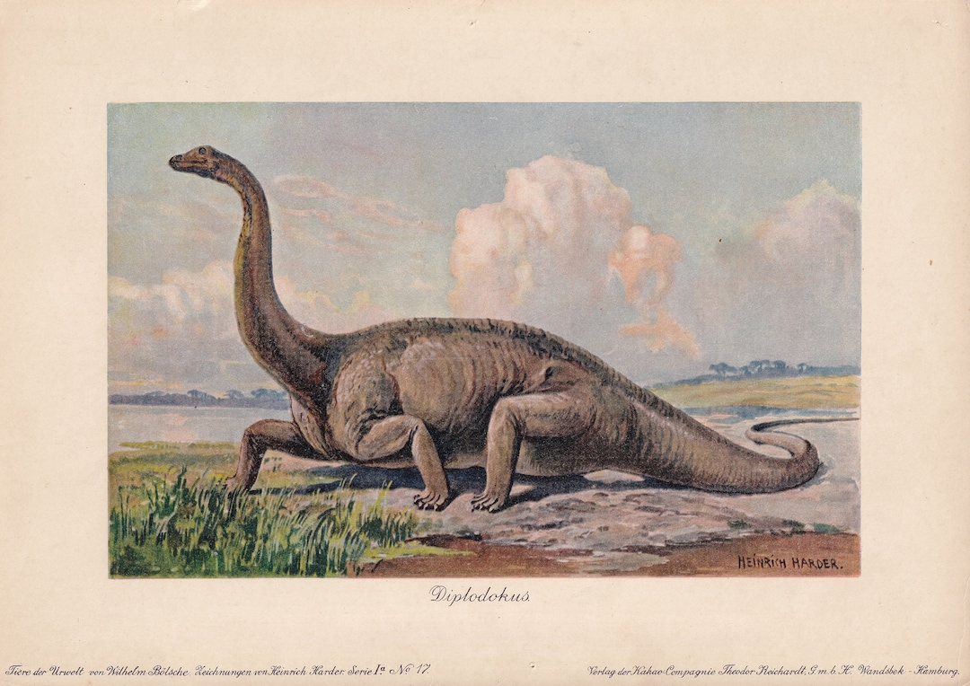 1902 DIPLODOCUS Print - Antique Dinosaur Print - Paleoart - Prehistoric ...