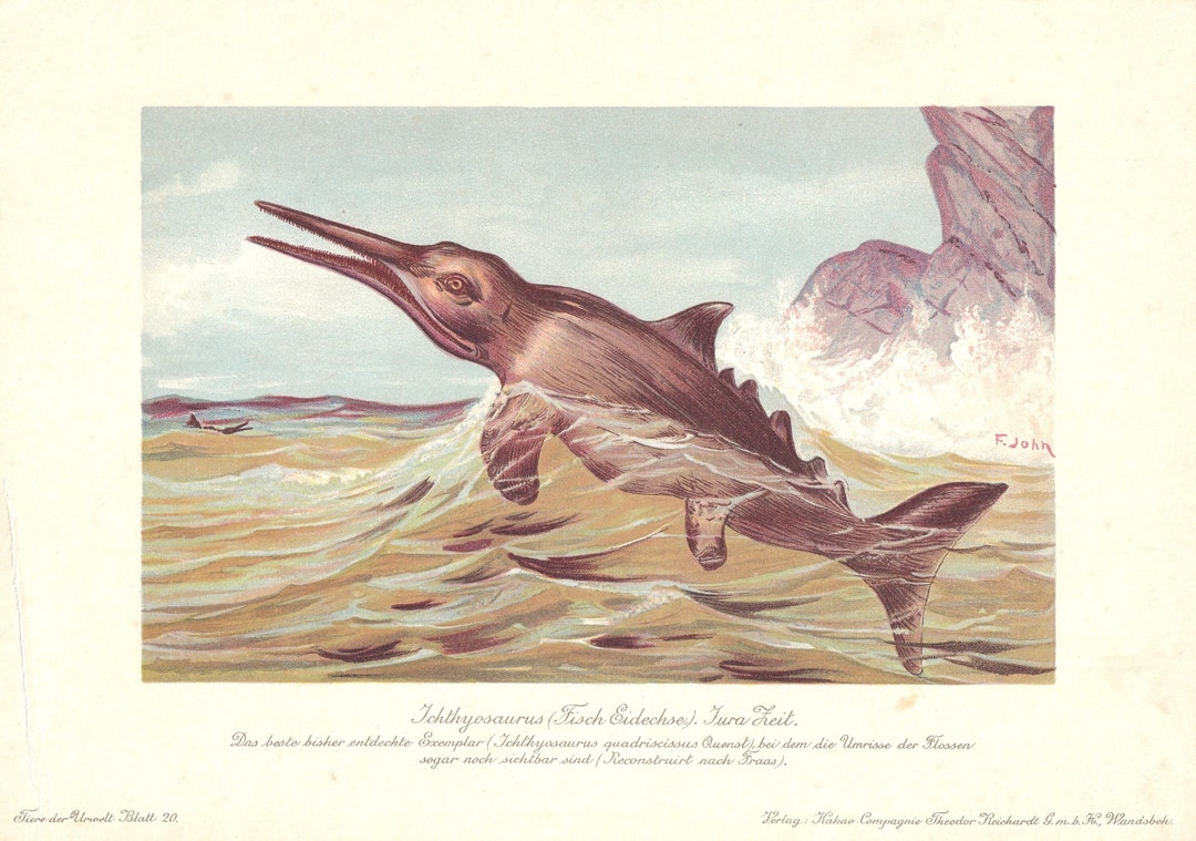 1902 ICHTHYOSAURUS DINOSAUR Print - Antique Dinosaur Print - Paleoart ...
