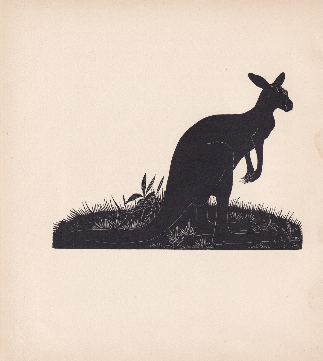 1929 KANGAROO Print Wood Engraving - Kangaroo Wall Art - Zoology Print ...