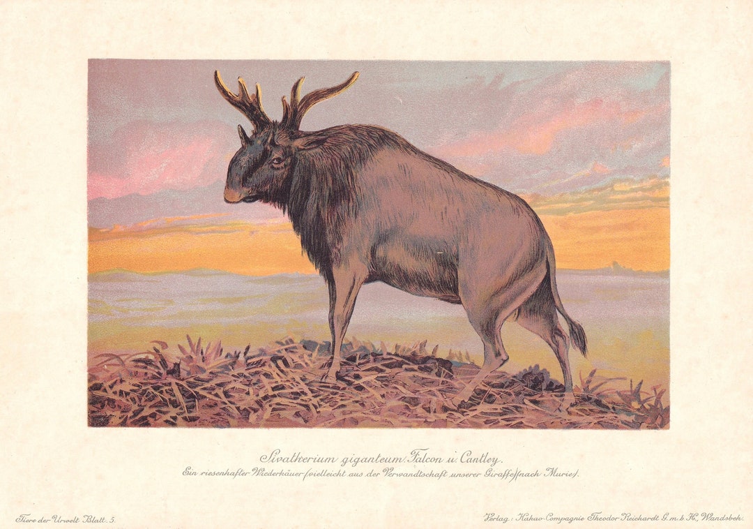 1902 SIVATHERIUM Print - Megafauna Print - Paleoart - Prehistoric Wall ...