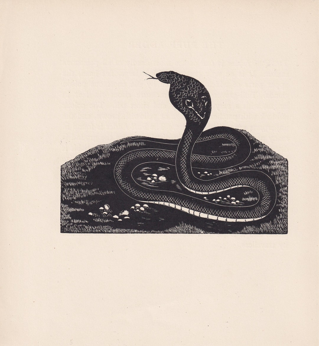 1929 COBRA SNAKE Print Wood Engraving - Cobra Wall Art - Snake ...