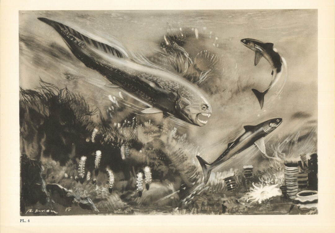 1960 DINICHTHYS Print - Prehistoric Animals Print - Paleoart ...