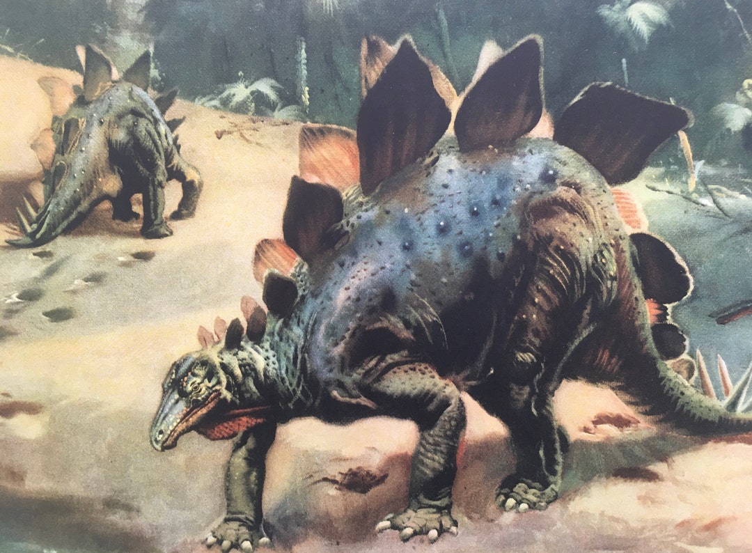 1960 STEGOSAURUS DINOSAUR Print - Prehistoric Animals Print - Paleoart ...