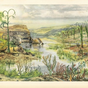 1960 DEVONIAN PERIOD LANDSCAPE Print - Prehistoric Print - Paleoart ...