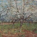 1958 VAN GOGH Print the Orchard 1888 Van - Etsy