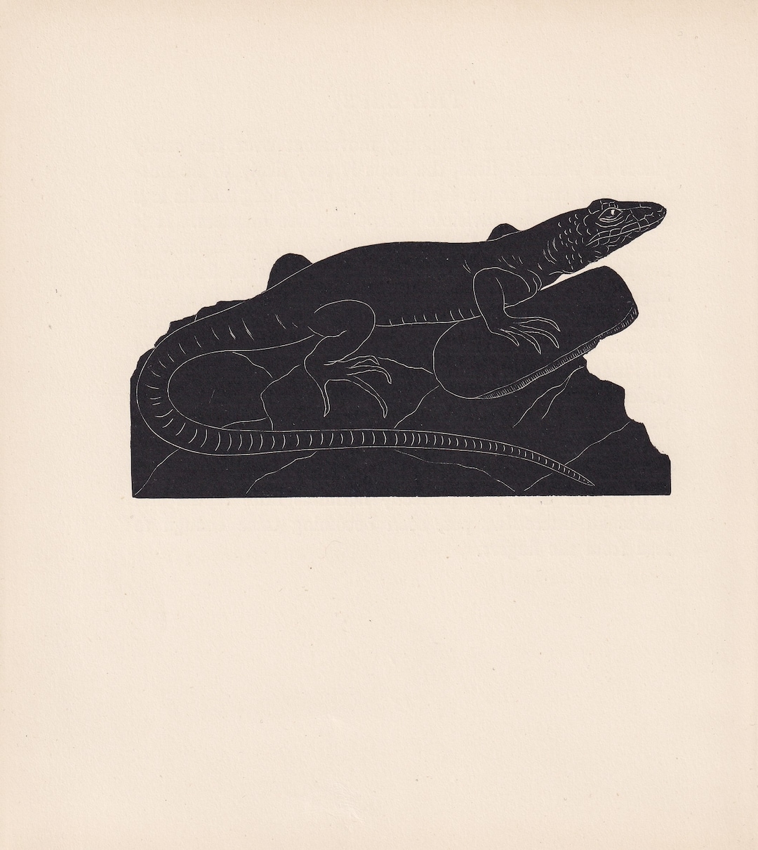 1929 GREEN LIZARD Print Wood Engraving - Lizard Wall Art - Lizard Wood ...