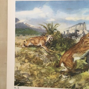 1960 MACHAIRODUS Print Prehistoric Animals Print Paleoart Sabre-toothed ...