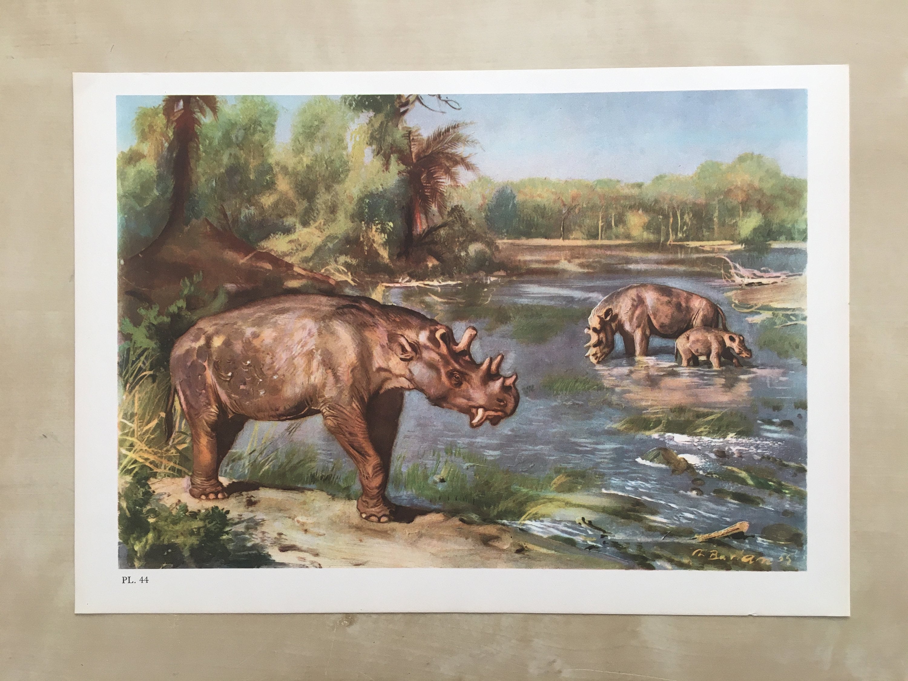 1960 UINTATHERIUM Print Prehistoric Animals Print Paleoart - Etsy