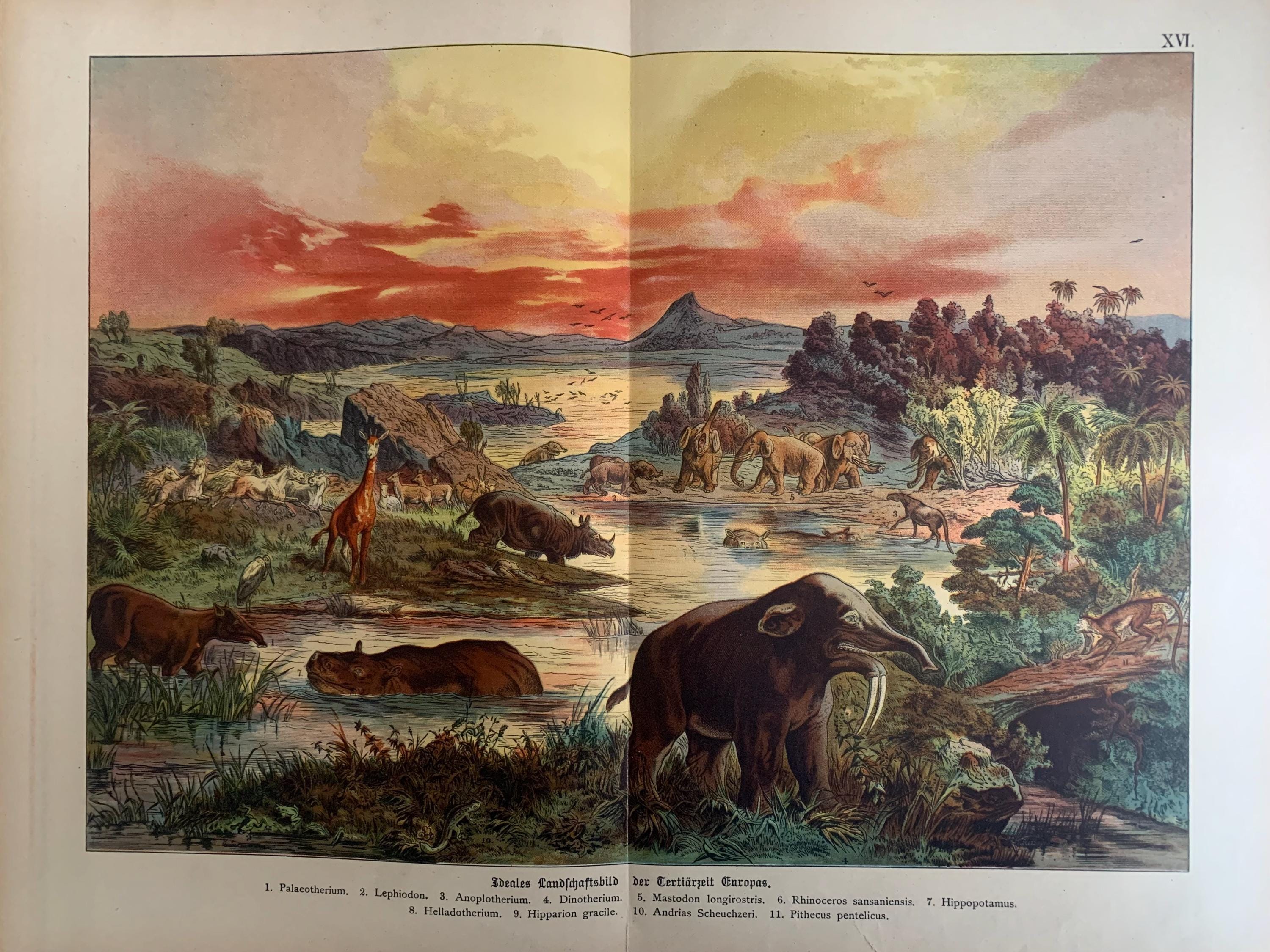 1878 PREHISTORIC ANIMALS Print - Paleogene Period - Antique Paleoart ...