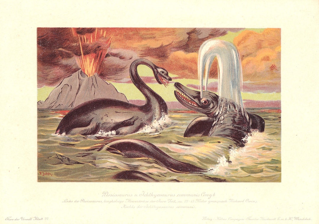 Rare! 1902 PLESIOSAURUS & ICHTHYOSAURUS DINOSAUR Print - Antique ...