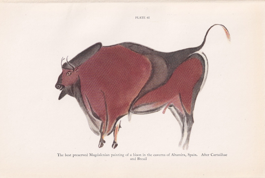 1934 CAVE ART Print - Altamira Bison Print - Original Vintage Print ...