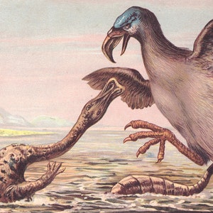 1902 BRONTORNIS Print - Extinct Giant Bird - Paleoart - Prehistoric ...
