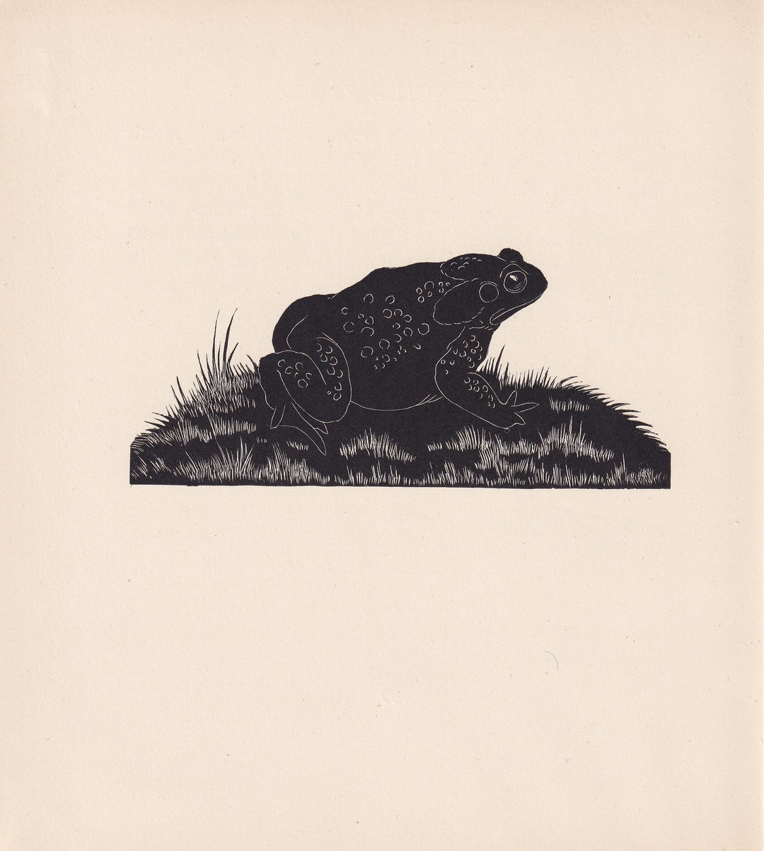1929 TOAD Print Wood Engraving - Toad Wall Art - Toad Wood Engraving ...