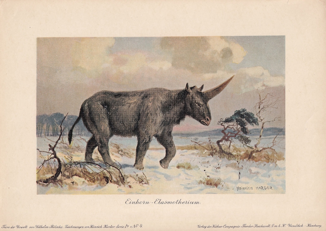 1902 SIBERIAN UNICORN Print - Antique Extinct Animal Print - Paleoart ...