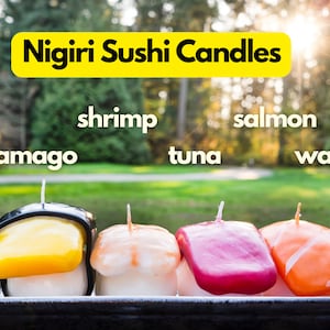Handmade Nigiri Sushi Candles Set - Squid, Tamago, Tuna, Shrimp, Salmon ...