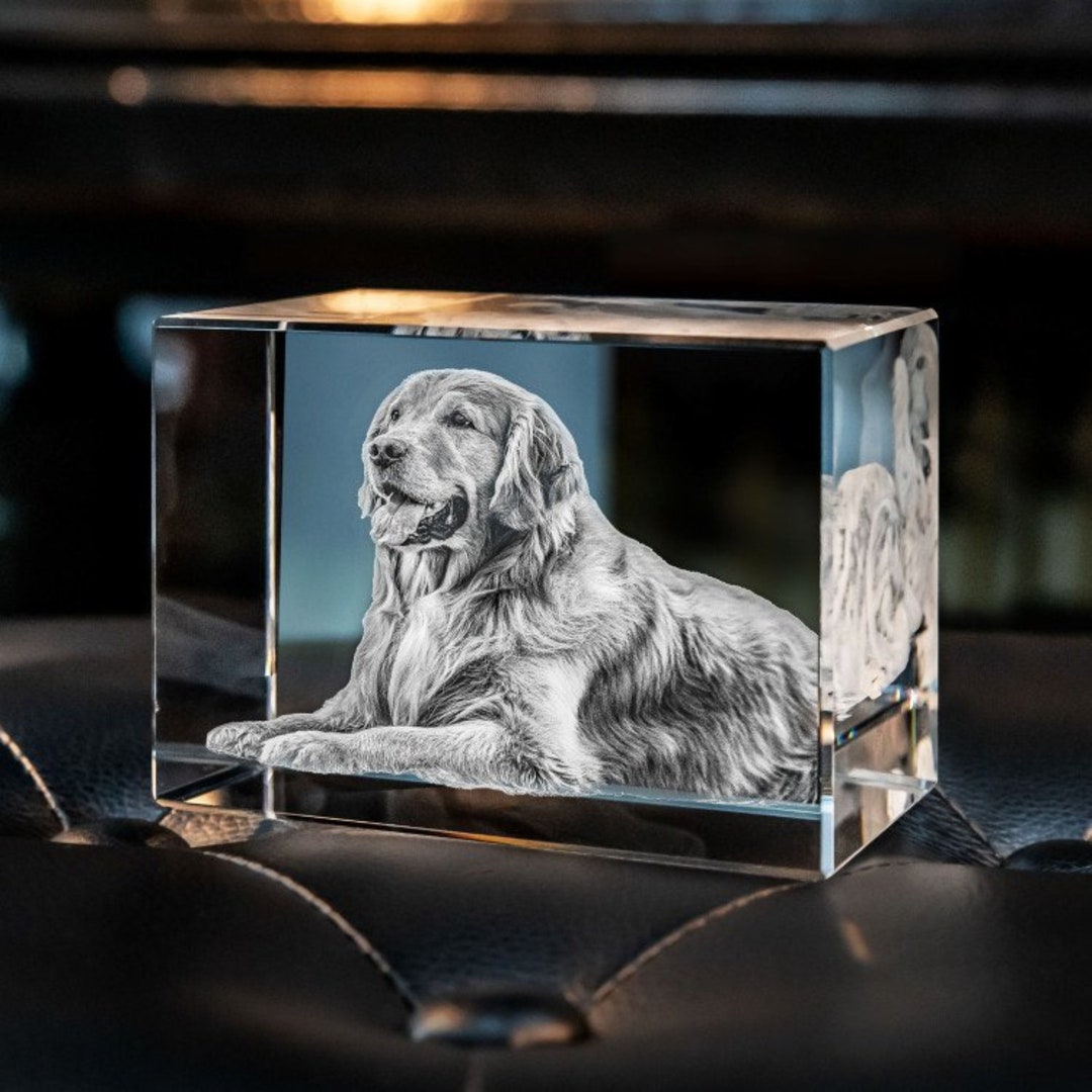 Personalized Pet Crystal Lamp - Custom 3D Pet Photo Crystal, Laser ...