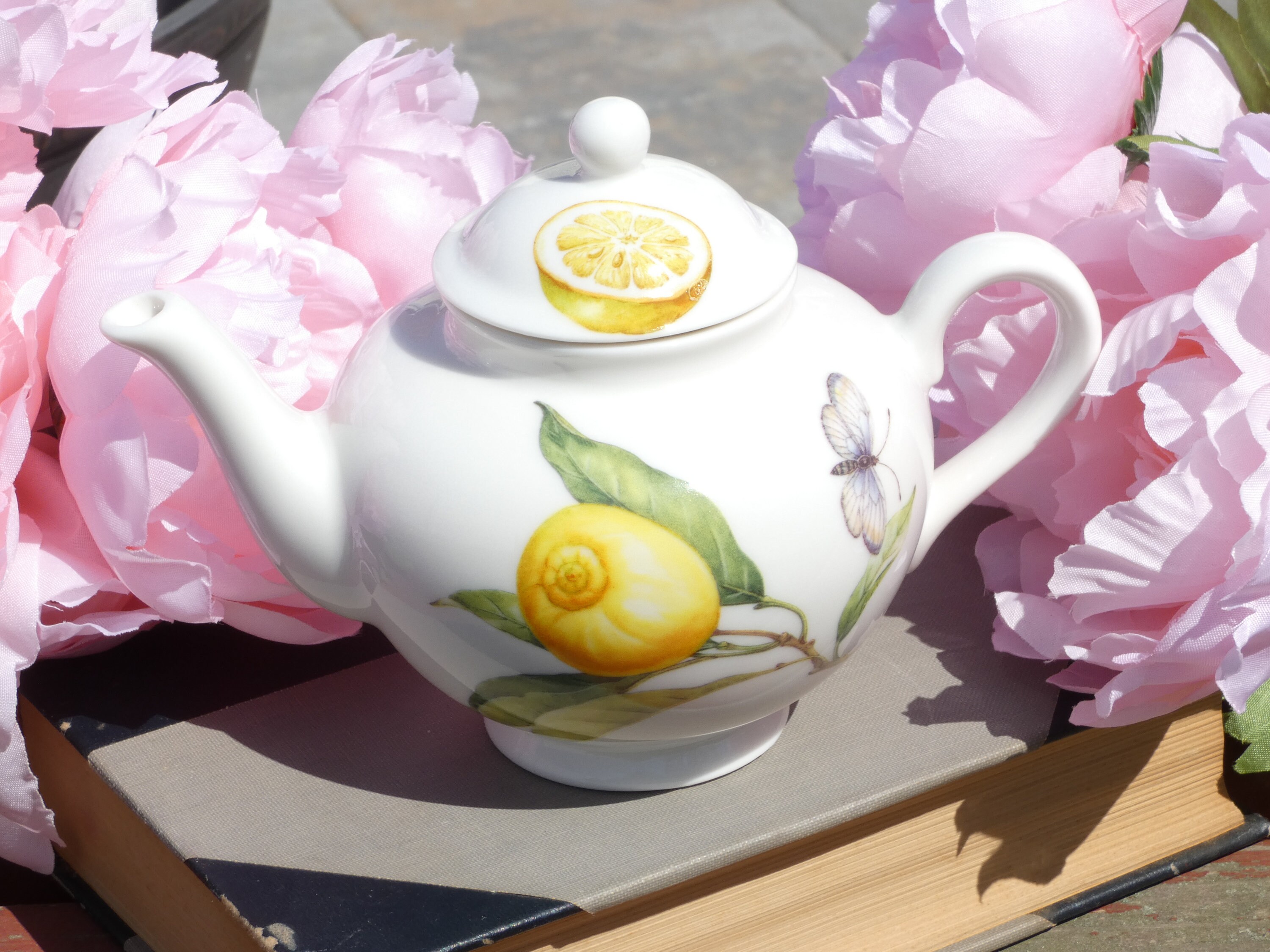 Nantucket Home Single Serve Porcelain Teapot - Etsy