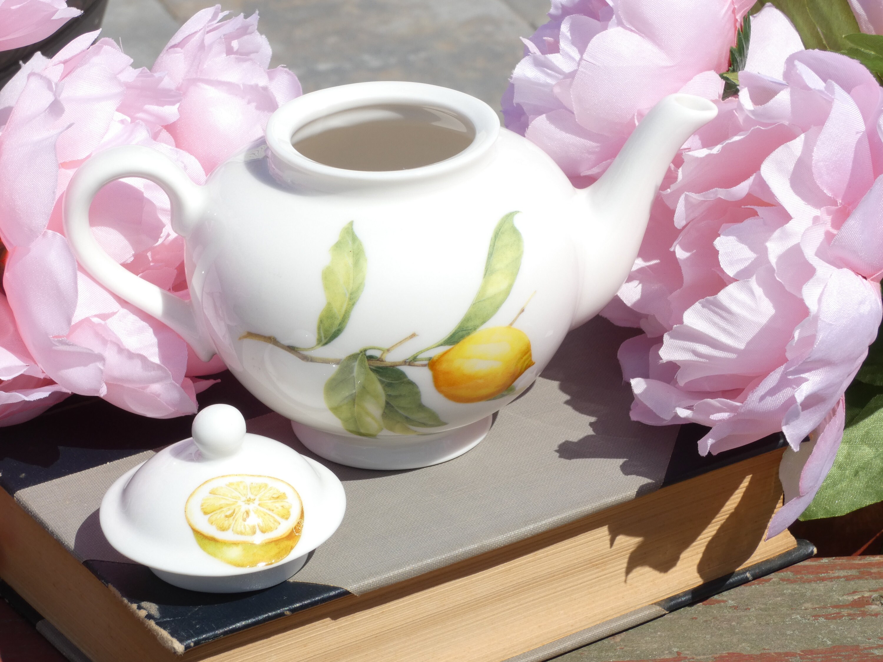 Nantucket Home Single Serve Porcelain Teapot - Etsy